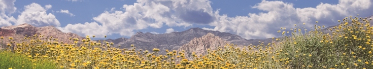 Locations - INSURICA